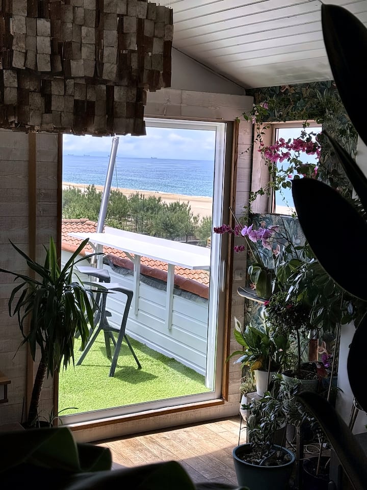 Appartement Climatisé Front De Mer  Vue Océan - Soorts-Hossegor