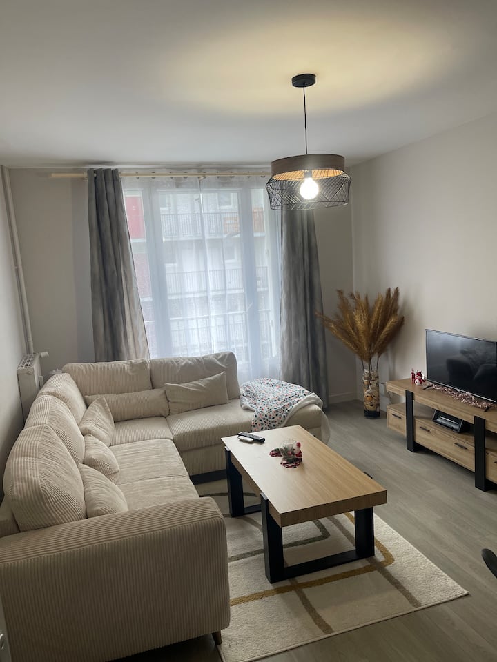 Bel Appartement Lumineux Avec Balcon à Tours Nord - Tours