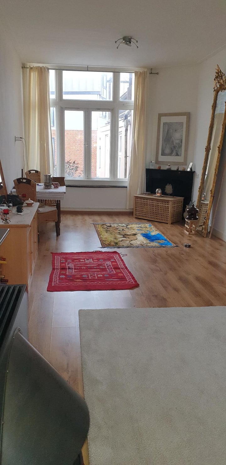 Grote Woonkamer 30m2 In Tuinwijk - Groningen