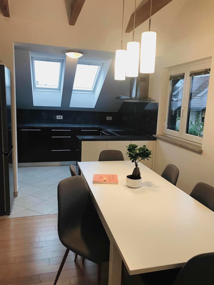 Moderno Mansardno Stanovanje S Tremi Spalnicami - リュブリャナ