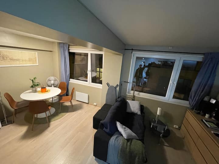Central Studio Apartment In Oslo - Oslo