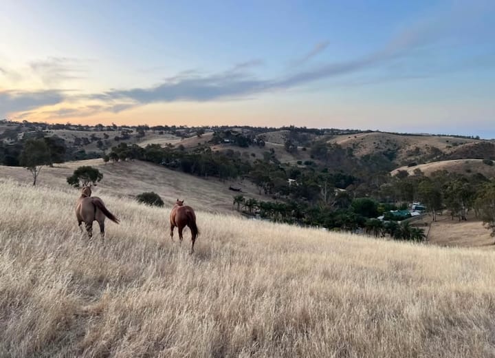 Cosy Studio On 10 Acres. Pony, Wineries, Nature - Adelaide