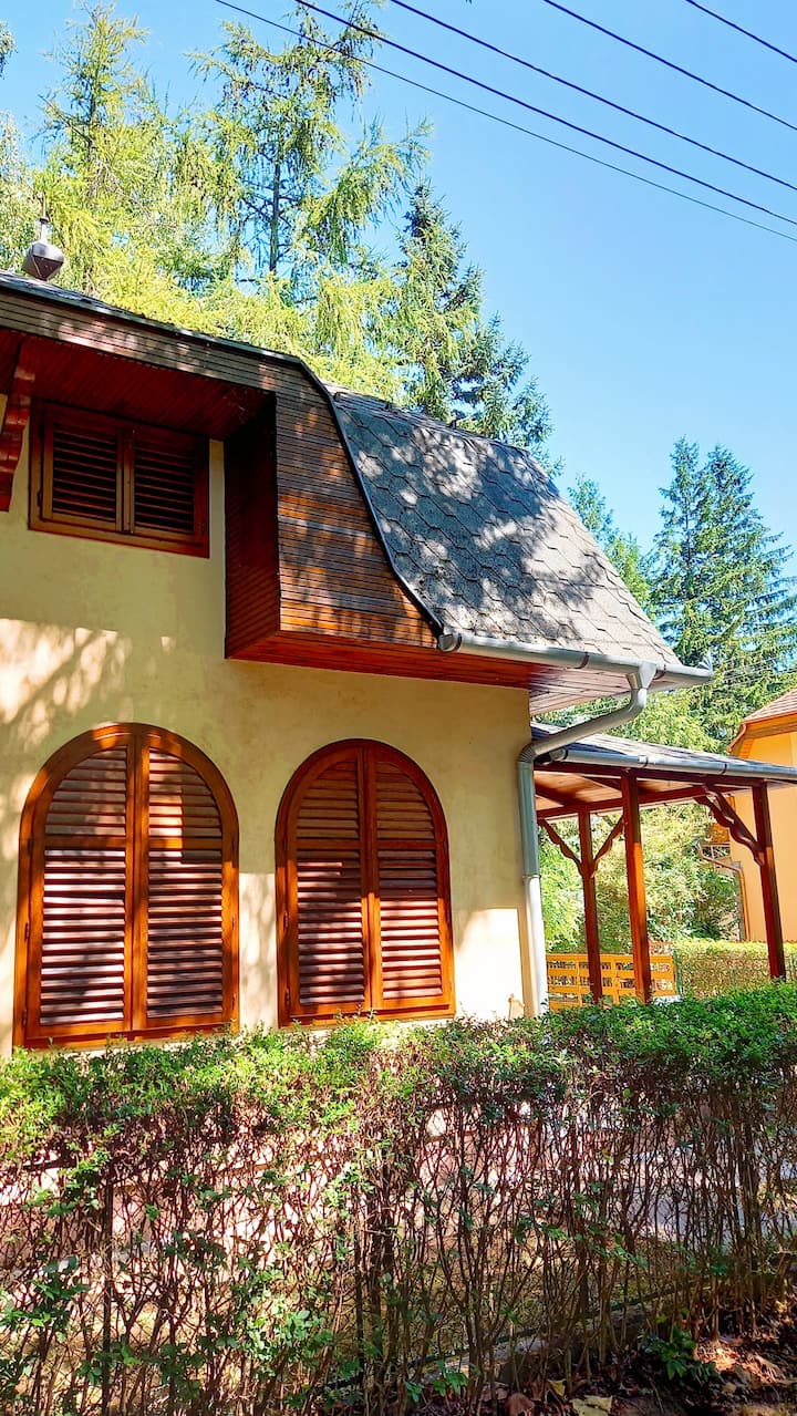 Fenyő Kuckó (B) 
Balatonfenyves - Balatonfenyves