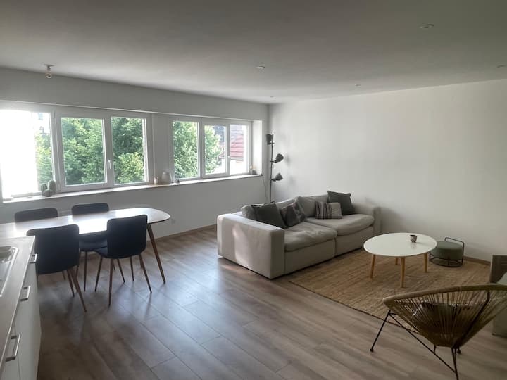 Appartement Centre-ville - Pontarlier