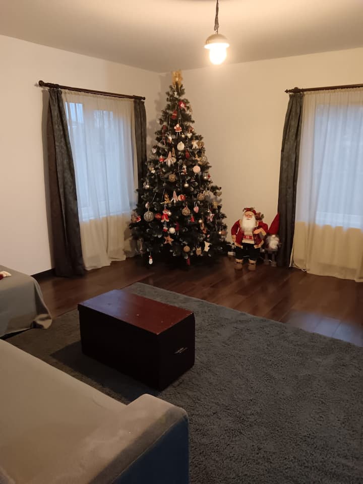 Casa Radu - Gura Humorului