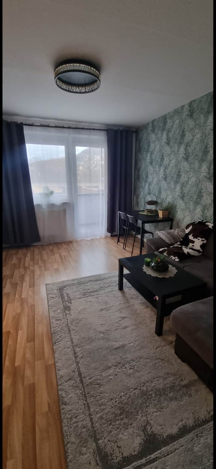 Ferienwohnung Im Zentrum Von Jena Mit Balkon - Jena