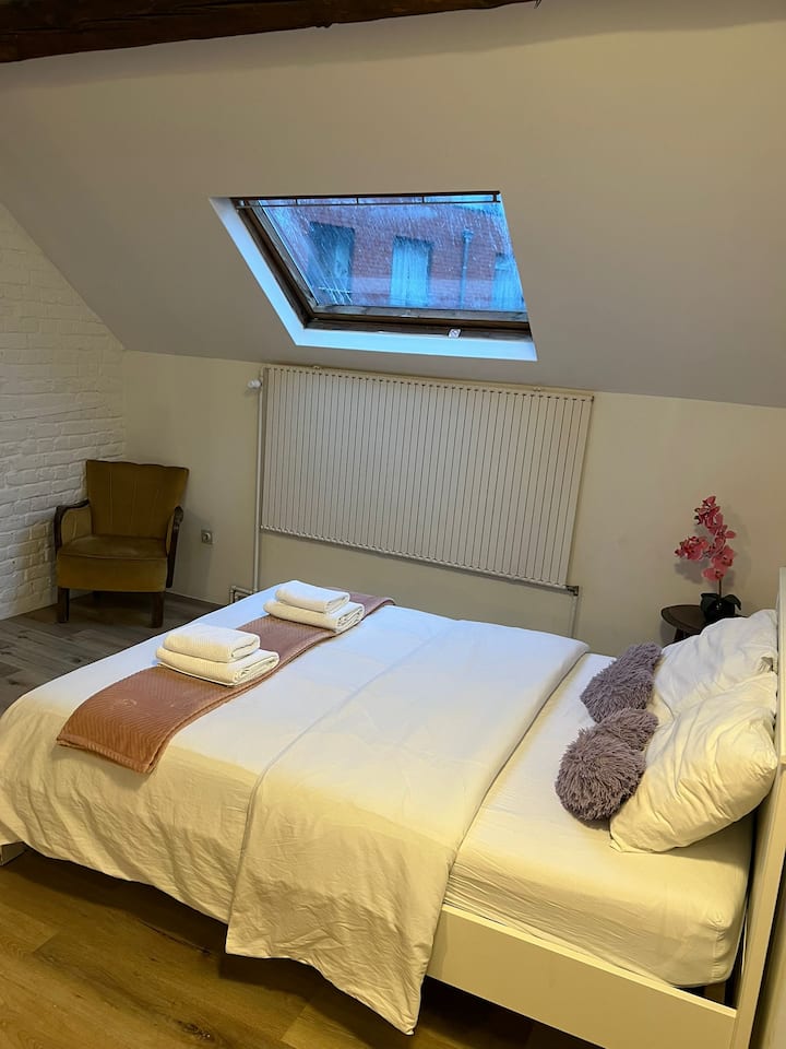 Flat Para Até 4 Pessoas. - Bruxelas