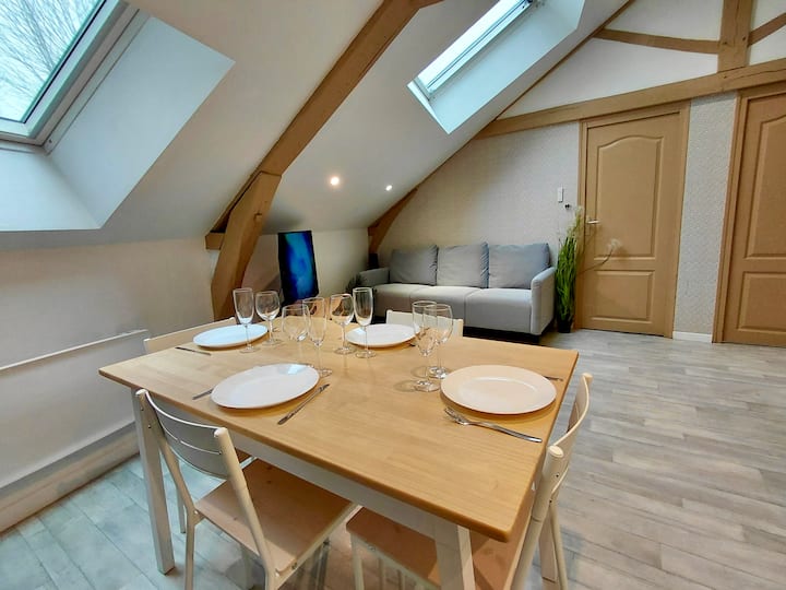 C Coispine T3 Confortable En Bord De Meuse - Charleville-Mézières