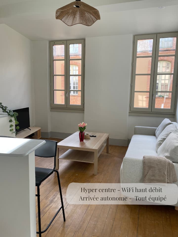 T2 Cosy Au Centre De Montauban - 4 Pers - Wifi - Montauban