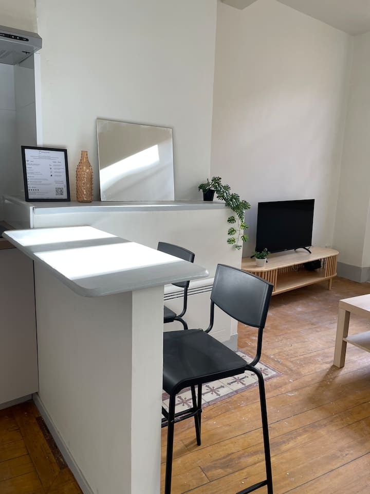 T2 Cosy Au Centre De Montauban - 4 Pers - Wifi - Montauban