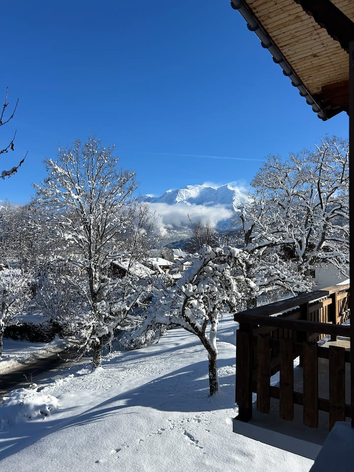 Appartement Avec Jardin Et Vue Mont-blanc - Flumet