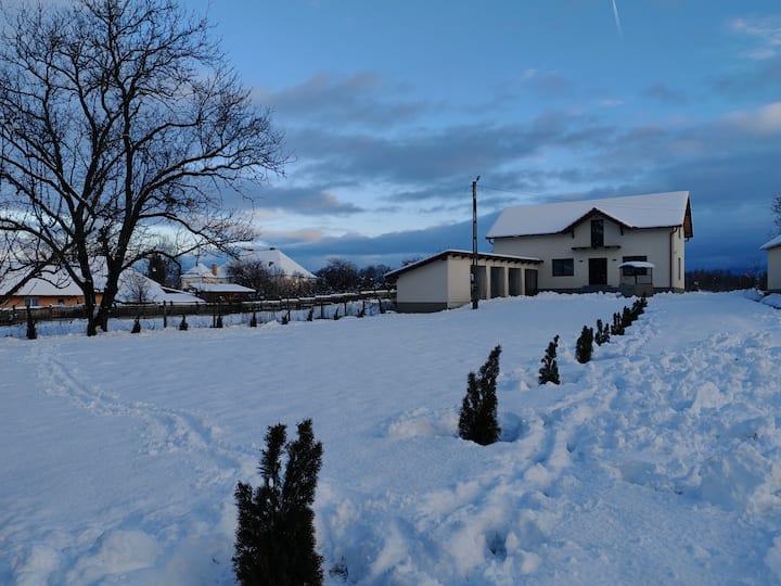 Casa Romanilor - Sarmizegetusa