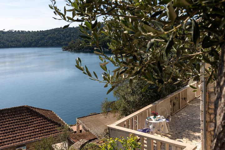 Studio - Pansion Mali Raj Mljet - Pomena