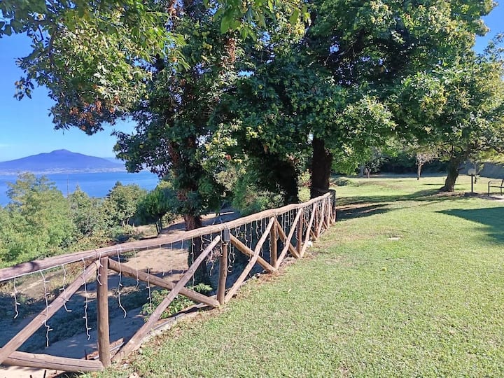 Nonno Ciccio's Home-costiera Amalfitana-sorrento - Massa Lubrense