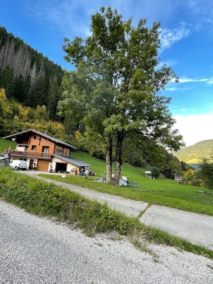 Studio Cosy Au Pied Des Pistes- Au Calme. - Arêches