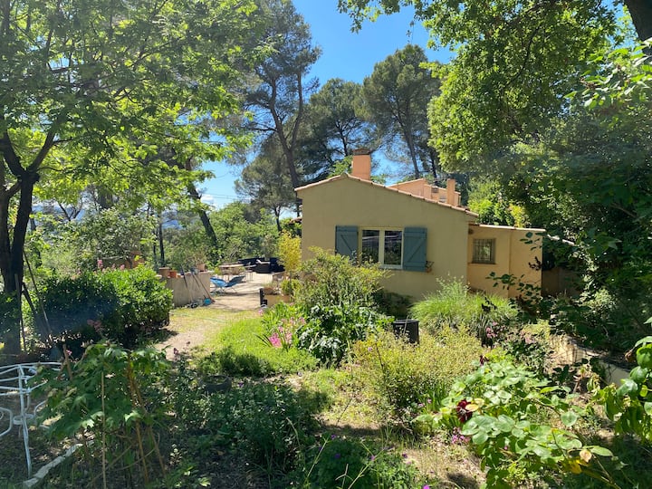 L'escandihado De Soulèu - Pertuis