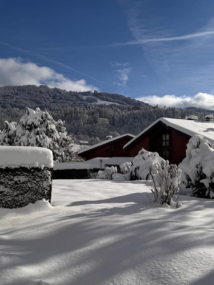 Appartement Rénové / Jaillet / Centre Megève - Megève
