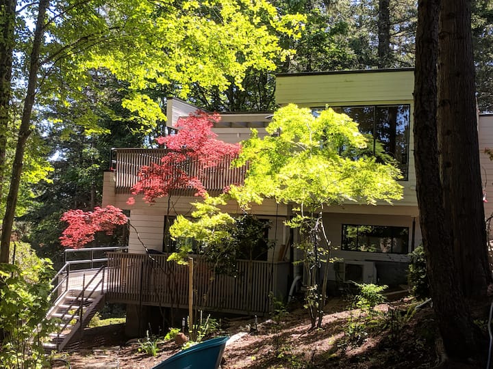 Urban Forest 2 Bedroom+ Suite In Mid Century Home - Saanich