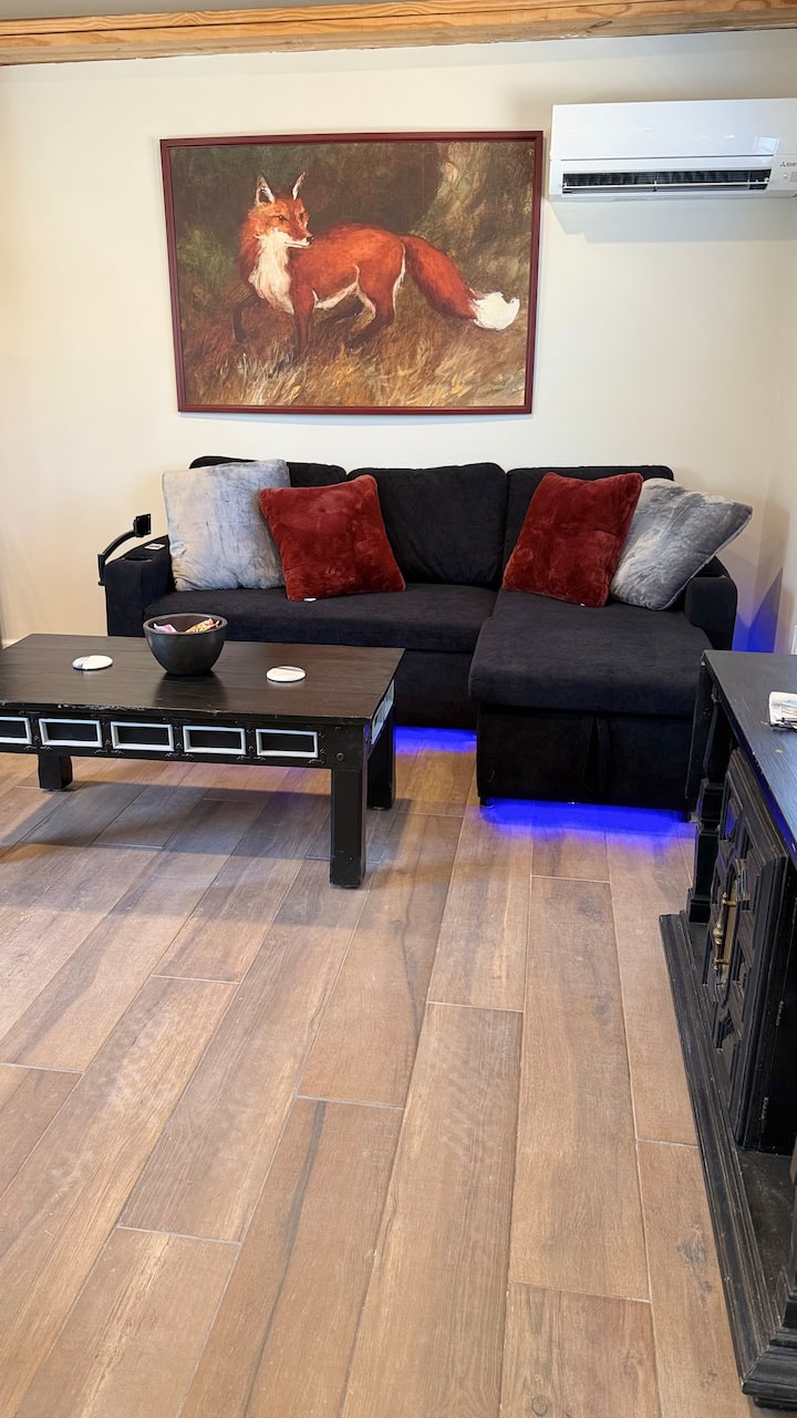 The Fox Den/private Luxury Cottage/horses/pond/ - South Carolina