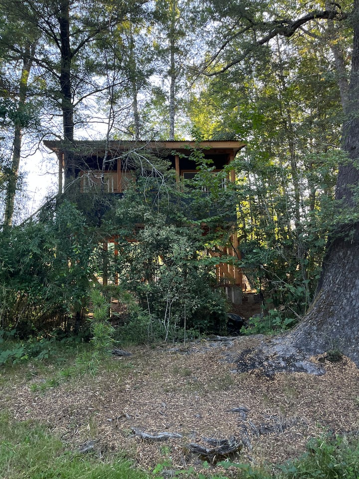 Cabaña Entre Arboles - Curacautin