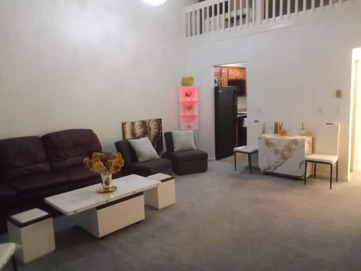 Albany-center-elite-apartment - Albany, NY