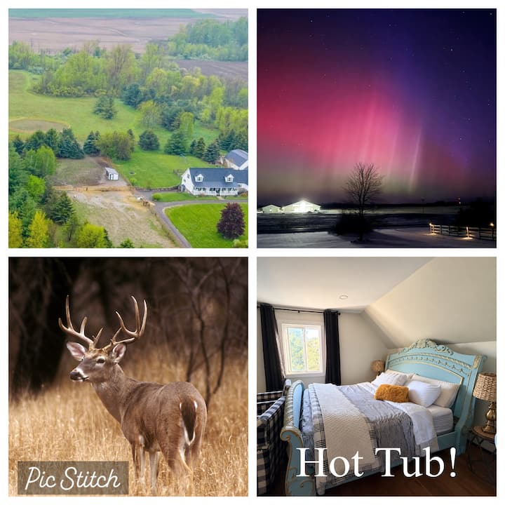 Northern Lights And Equestrian Getaway - Michigan