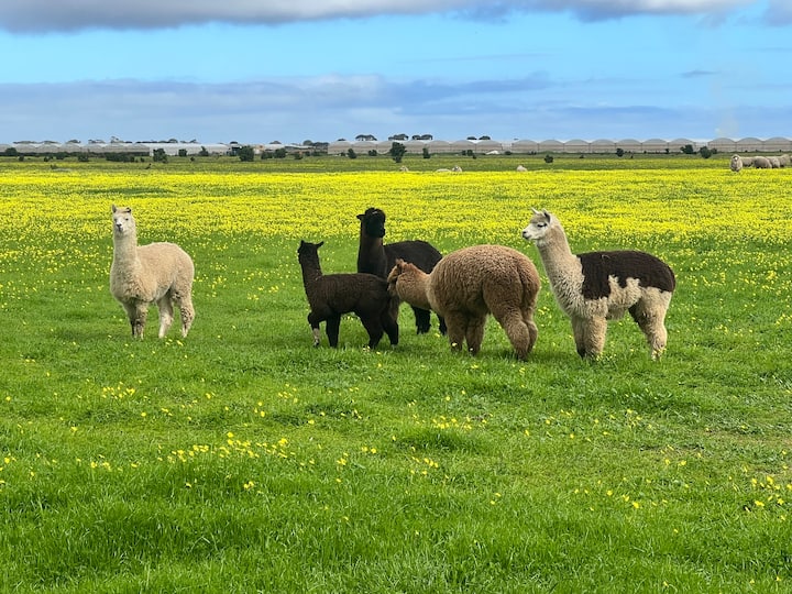 Adelaide Farm Stay | Fire Pit & Open Space - Two Wells