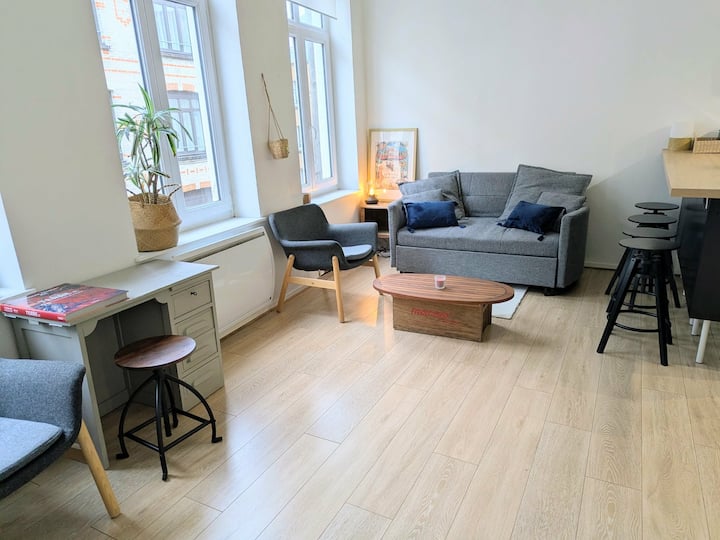 Appartement T2 Lille Centre - Lille