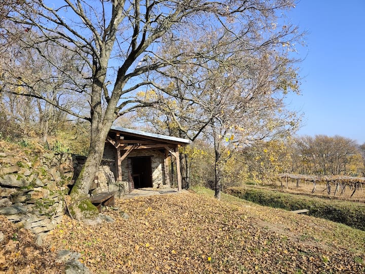 Kamenná Búda Vo Vinohrade - Modra