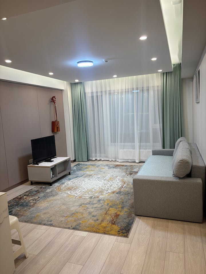 Convenient Modern Apartment - Near Airport - Mongolia