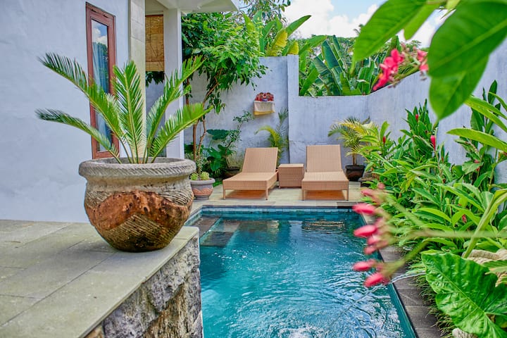 Naira Villa Ubud - Ubud