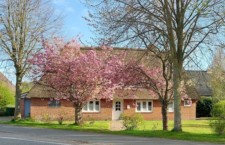 Erholung Unter Reet - Bordelum