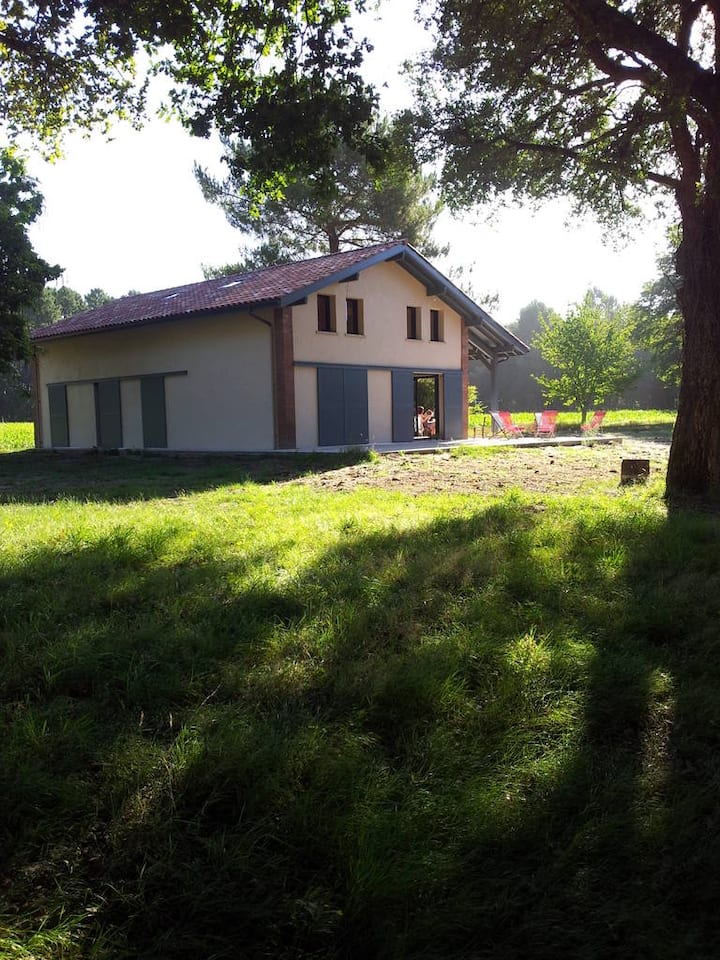 Maison Landaise Entièrement Rénovée - Tosse