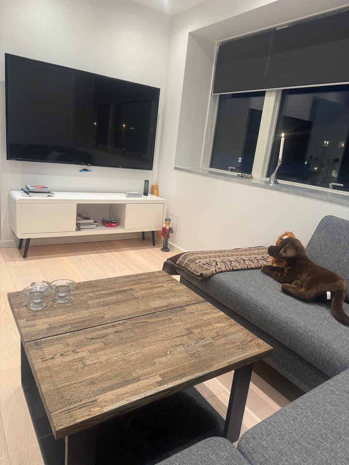 Modern Nordic Apartment – Warm & Cozy - Danemark