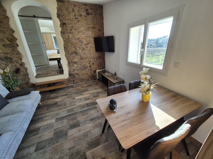 La Vigne
Charmant T2 Meublé Emplacement Idéal - La Garde