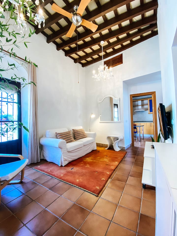 Dúplex, Terraza Y Vistas A La Catedral | Histórico - Jerez de la Frontera