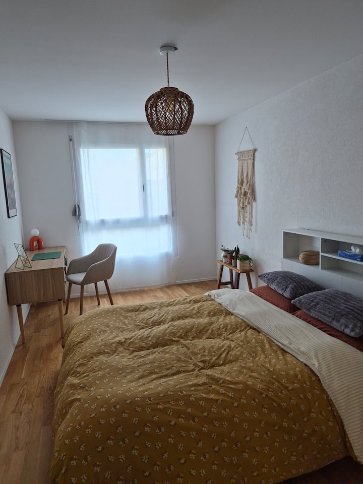 Chambre Dans Un Spacieux Appartement - Jardin - Bienne