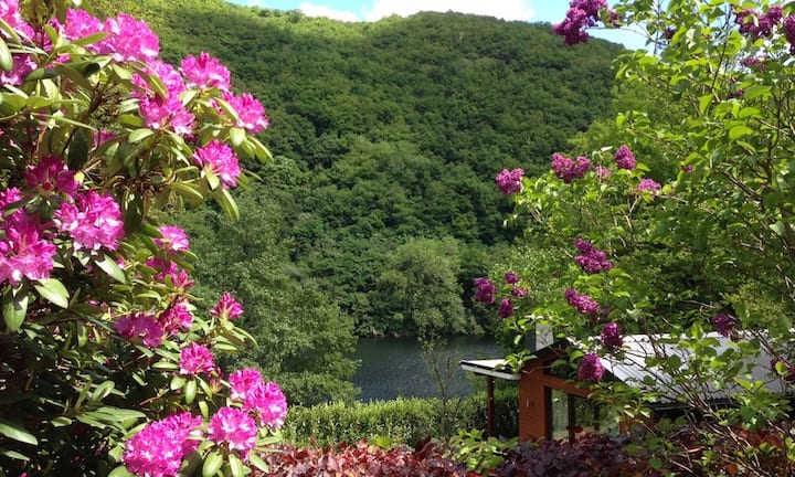 Private Sauna. Kamin. Pure Natur Und Ruhe. - Nideggen