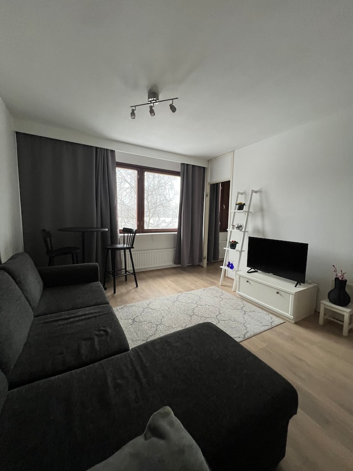 Kodikas Yksiö Hyvällä Sijainnilla - Lappeenranta