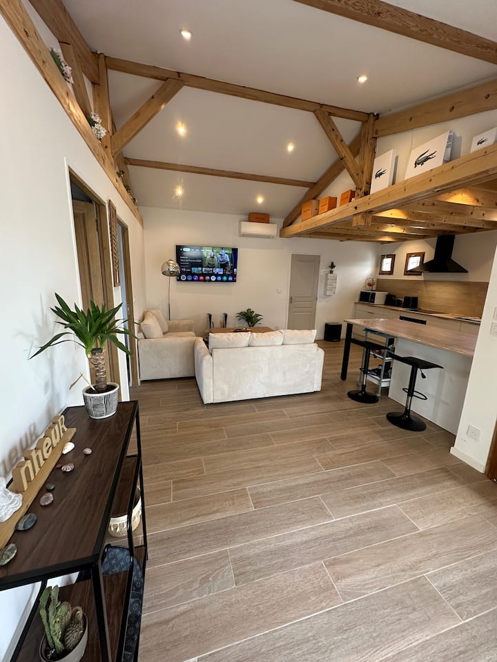 Maison En Colocation Entièrement Refaite. - Villenave-d'Ornon