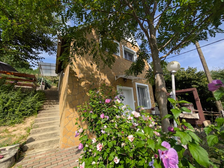 Szőlőskert Vendégház - Tata