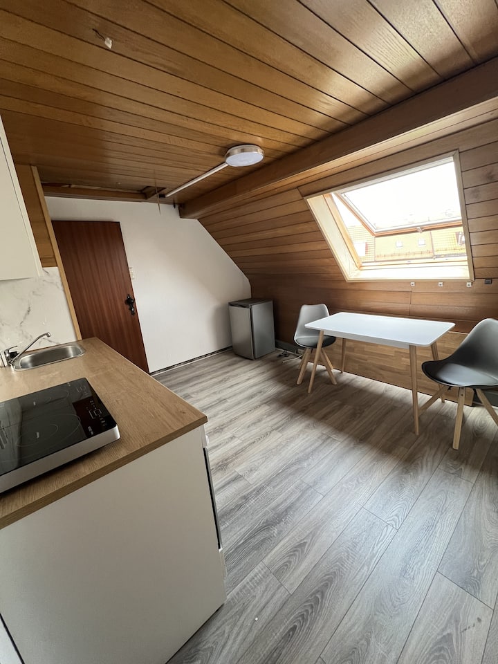 Dachgeschoss Wohnung - Ludwigshafen