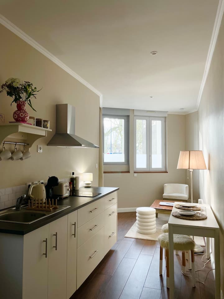 Studio Rochefoucauld - Quartier Doutre & Parking - Angers