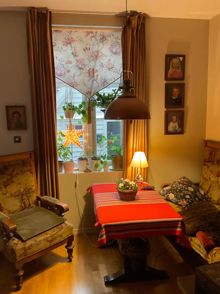Cosy Nest, City Center,steps From Uib,cmi &Harbour - Bergen