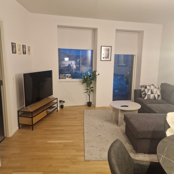 Cosy And Nice Apartment. - Copenhagen Airport (CPH)