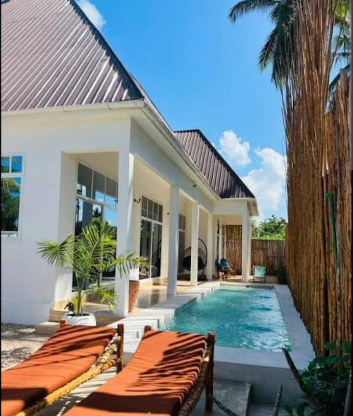 Luxury House With A Pool 2 Minutes From The Ocean - Tanzanie
