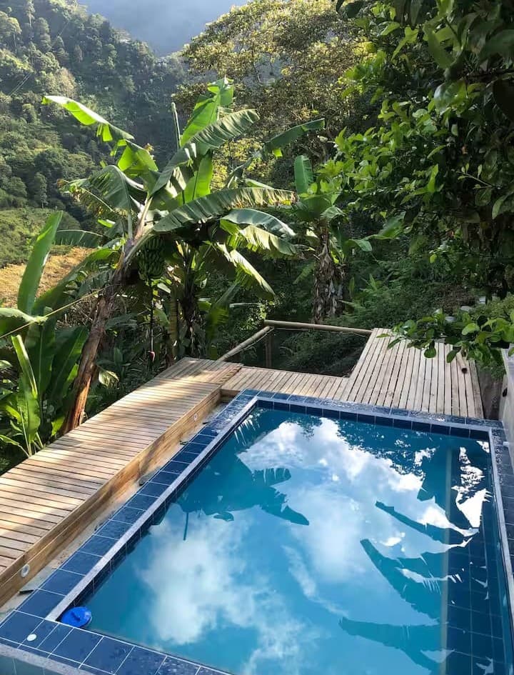 Verde Selva: Cabaña Cristal - Cañon Combeima - Cajamarca