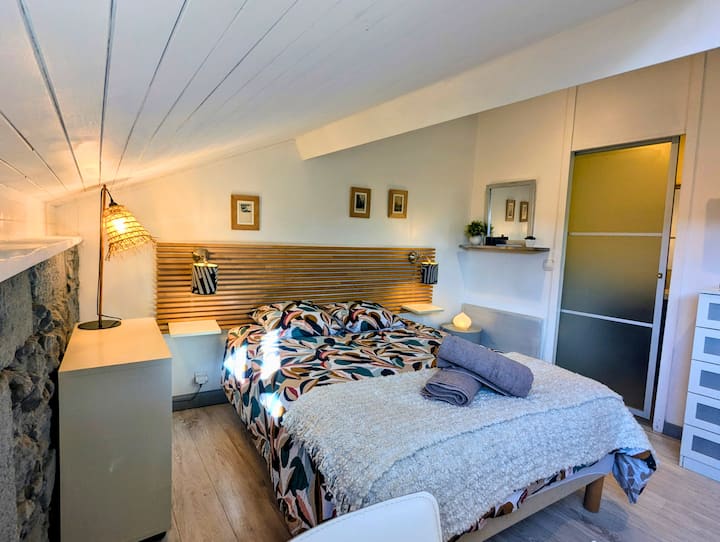 Nid De Dax Hypercentre/thermes/tout à Pied - Dax