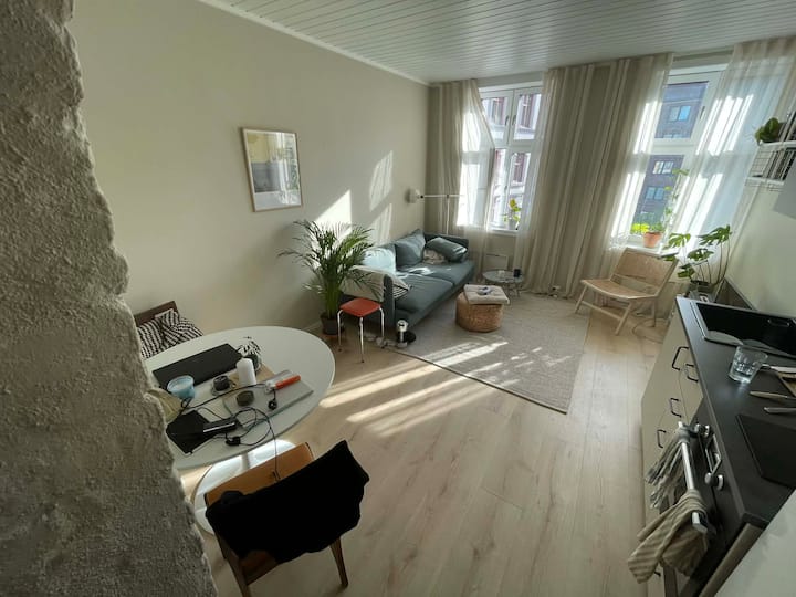Koselig Leilighet På Kampen I Oslo - Oslo