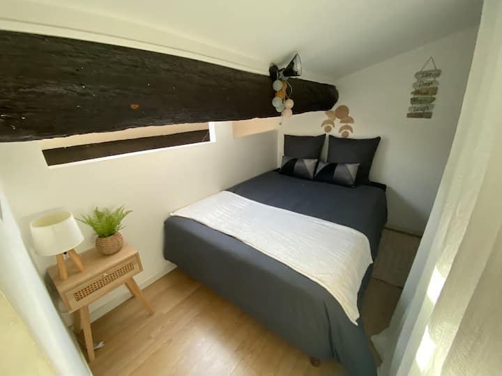 Studio Cosy /Montpellier Près D Tram Et Transports - Montpellier